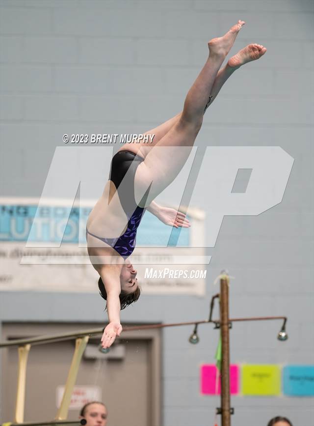 Photo 218 in the CHSAA 3A Girls Diving - State Championship Photo ...