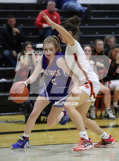 West Virginia high school girls basketball: statewide statistical leaders