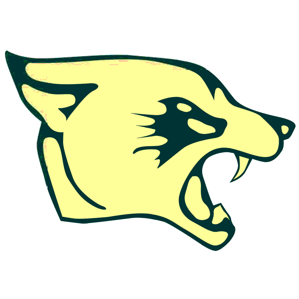 Patrick County High School (Stuart, VA) Varsity Basketball