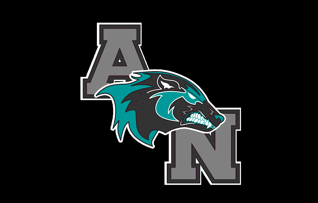 Aliso Niguel High School (Aliso Viejo, CA) Varsity Basketball